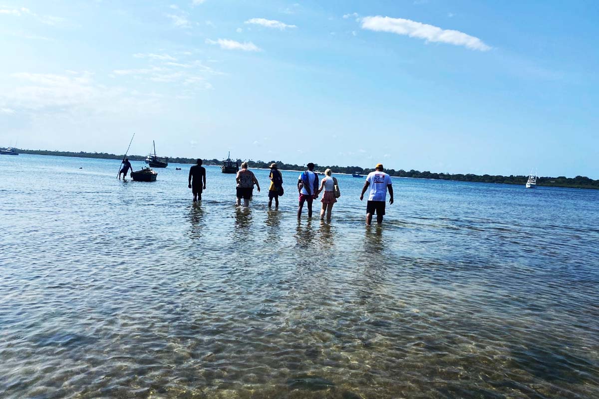 Exciting Wasini Dolphin Tour in Diani, Kenya